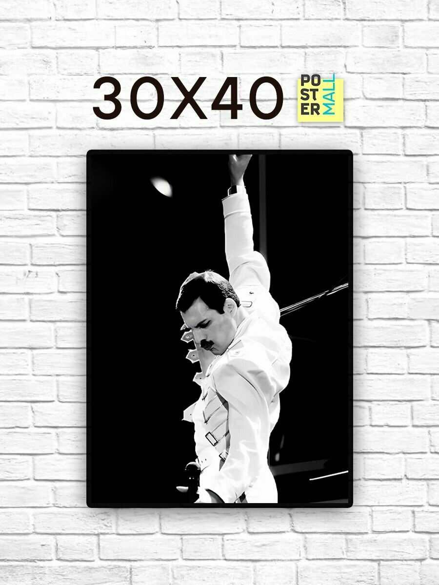 Постер для интерьера на стену (30х40 см). Фредди Меркьюри
