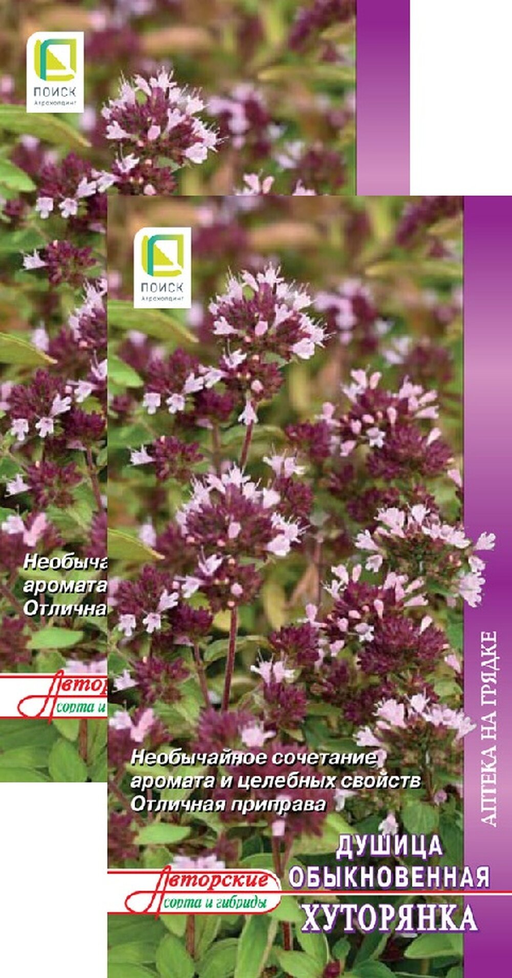 Семена Душица обыкновенная Хуторянка (0,01 г), 2 пакета, многолетник