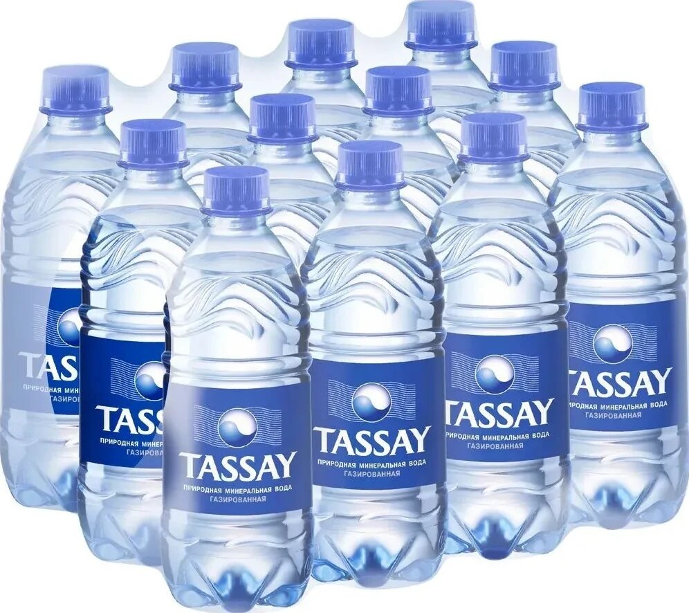TASSAY газ 0,5л./12шт. TASSAY Вода минеральная Производство - Казахстан