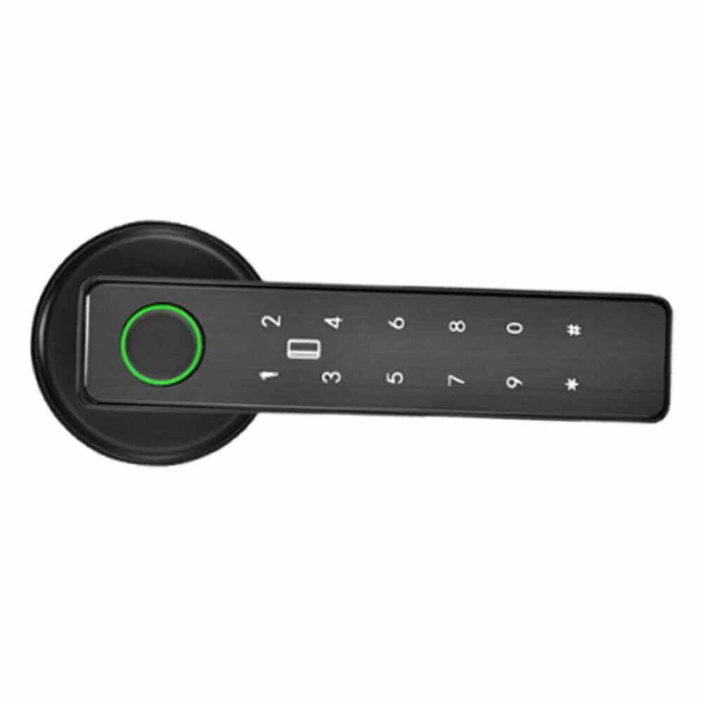 Электронный цифровой дверной замок для входных дверей, умный замок с биометрией, управлением через приложение, черная ручка для деревянных дверей