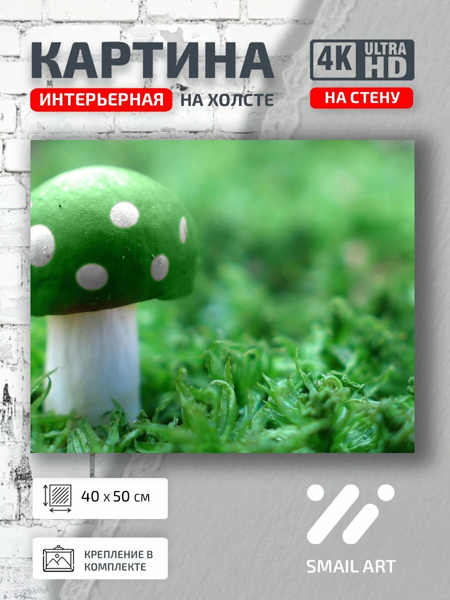 Картина на холсте интерьерная 40 на 50 на стену Мухомор Landscape для офиса пейзаж интерьер