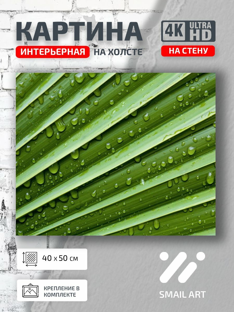 Картина на холсте интерьерная 40 на 50 на стену План Macro для спальни макро интерьер декор