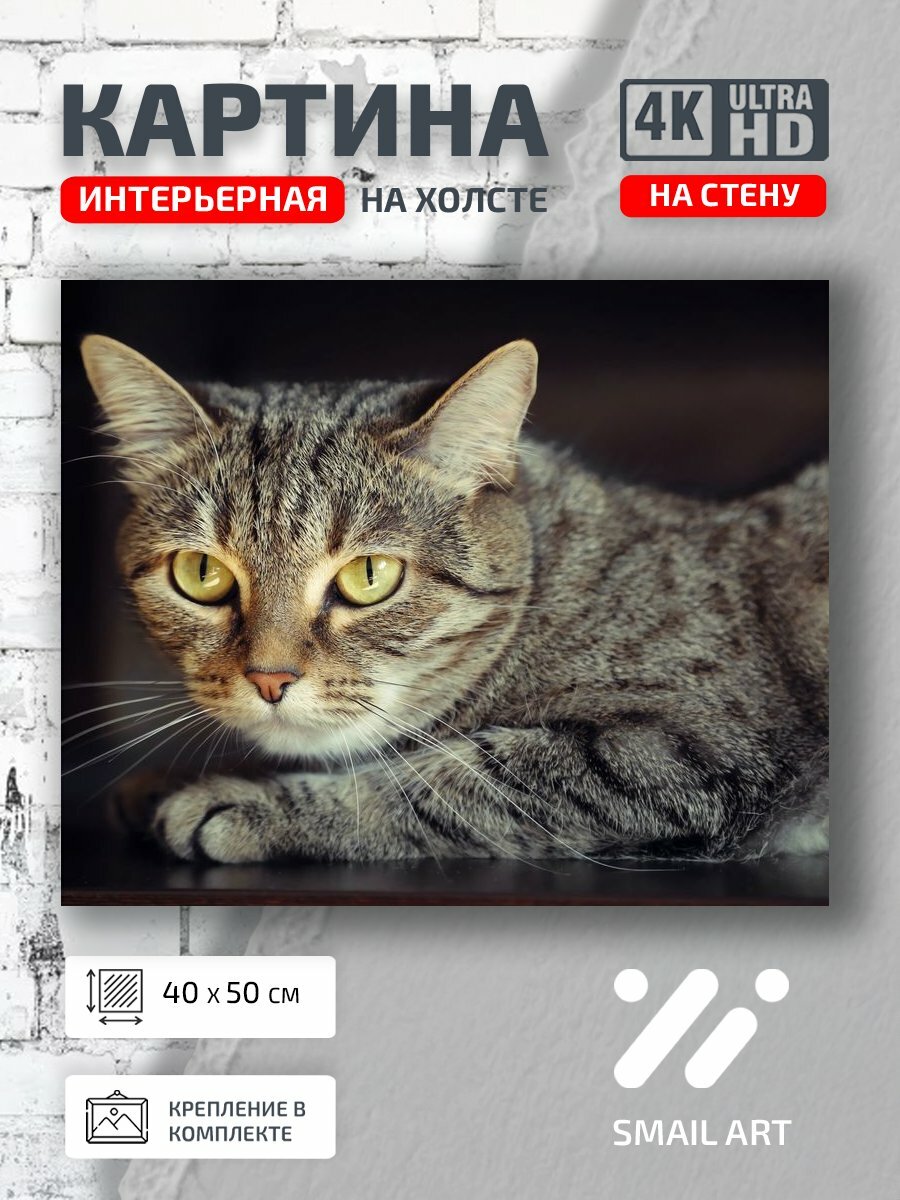 Картина на холсте интерьерная 40 на 50 на стену Глаза Animal для спальни animal style декор