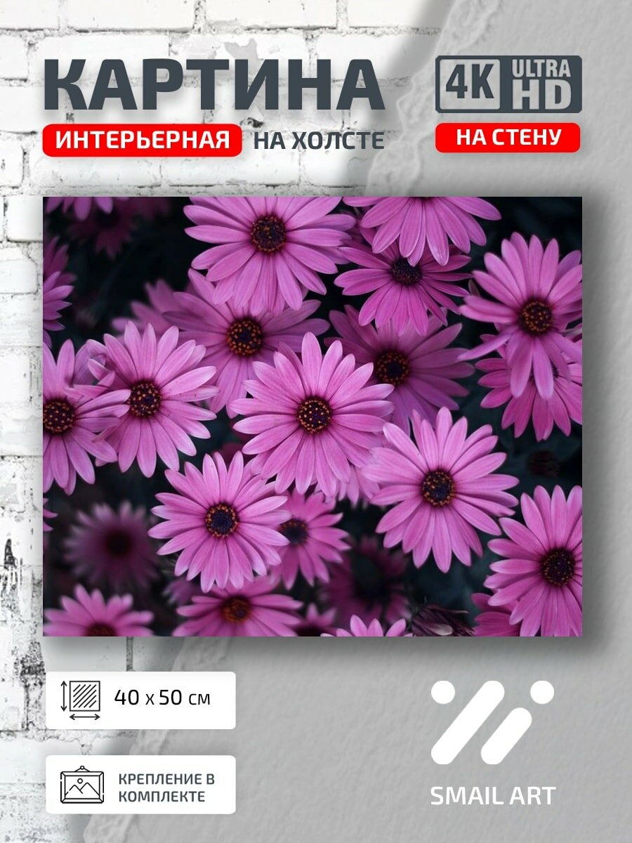 Картина на холсте интерьерная 40 на 50 на стену ромашки Весна для гостиной атмосфера