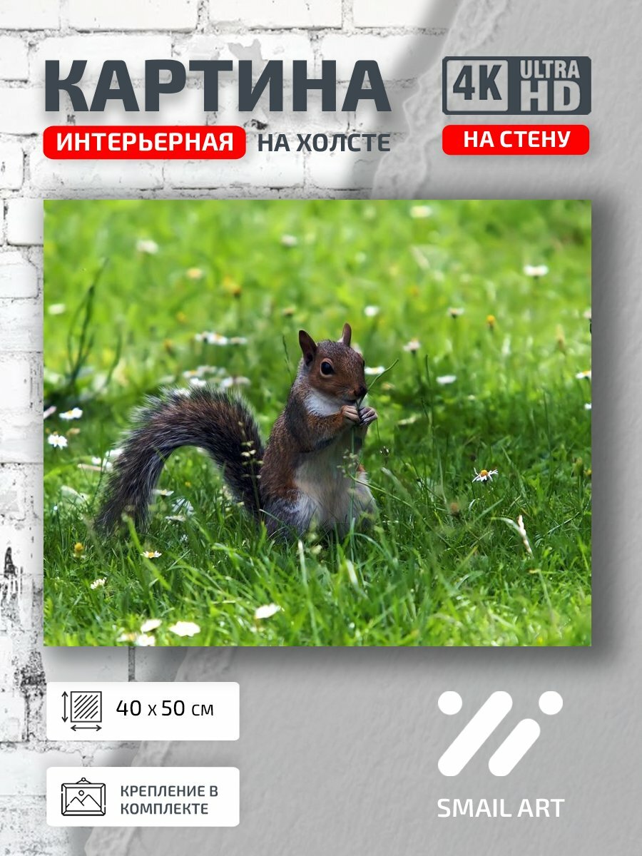 Картина на холсте интерьерная 40 на 50 на стену Трава Landscape для кабинета пейзаж декор