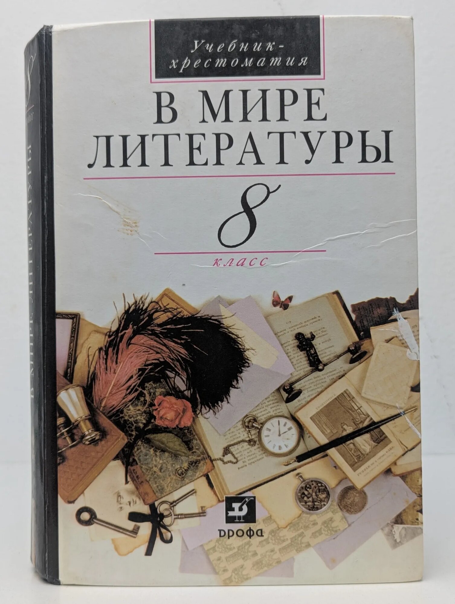 В мире литературы. 8 класс. Учебник-хрестоматия Романичева Елена Станиславовна, Кутузов Александр Геннадиевич, Киселев Александр Константинович, Леденева Виктория Владимировна, Колосс Леонид Владимирович 2002
