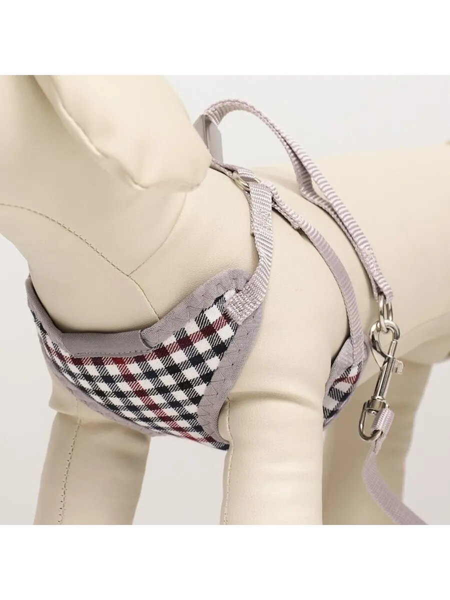 Универсальный комплект для прогулок с питомцем