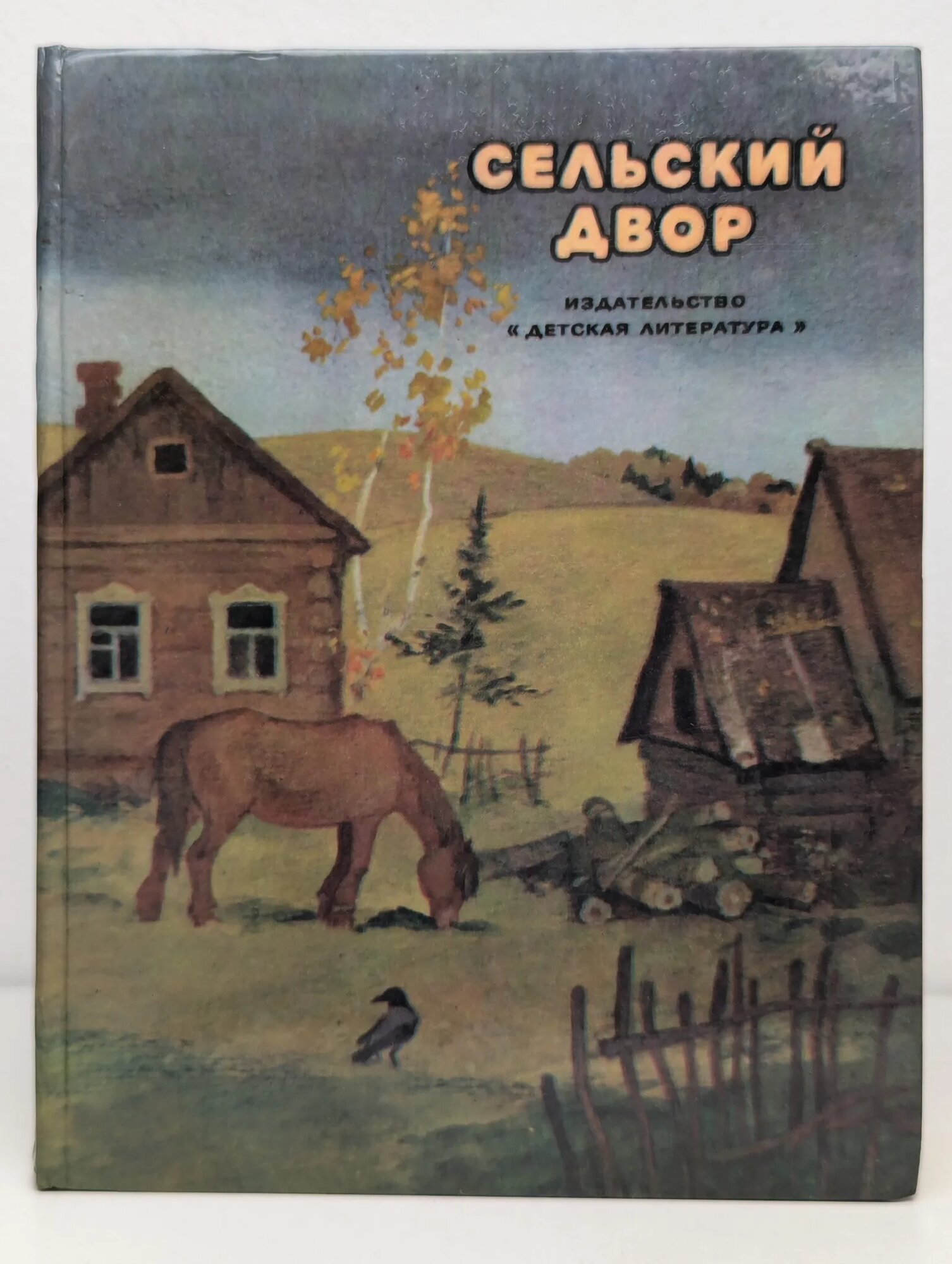 Сельский двор Стрелкова Ирина Ивановна (сост.) 1984