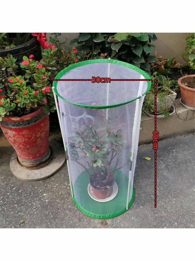 Ферма бабочек