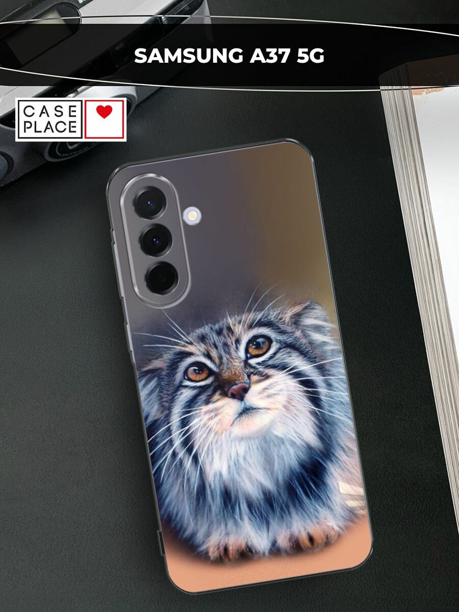 Чехол на Samsung Galaxy A37 5G / Самсунг Галакси А37 5G с принтом Кот манул 2