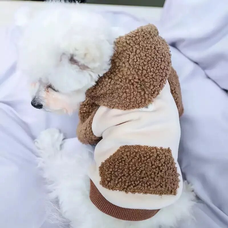 Одежда для животных — фото 1