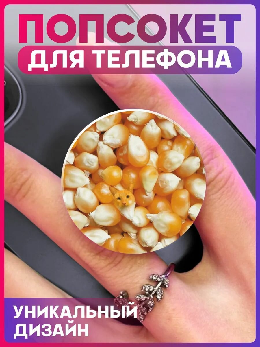 Попсокет для телефона Котик кукуруза