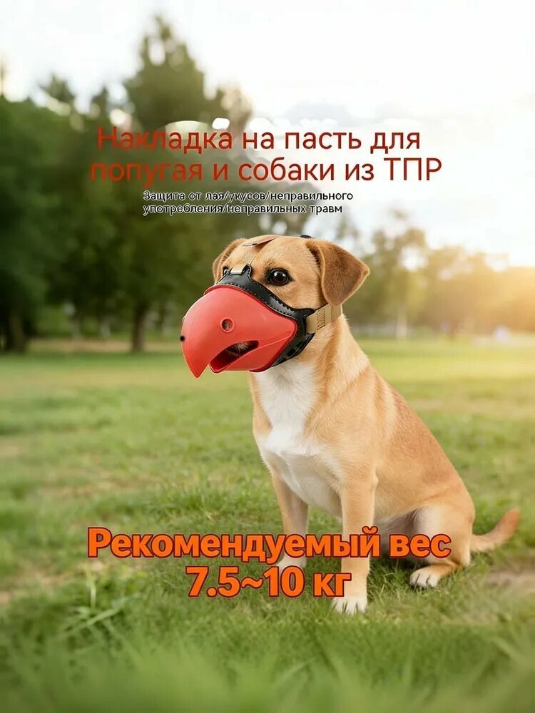 Намордник для собак антилай антигрыз с попугаем
