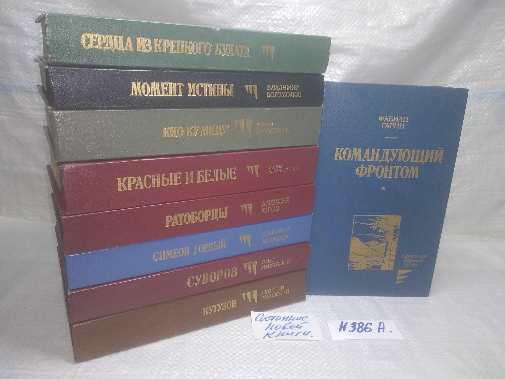 Серия "Отчизны верные сыны" к-кт из 9-ти книг