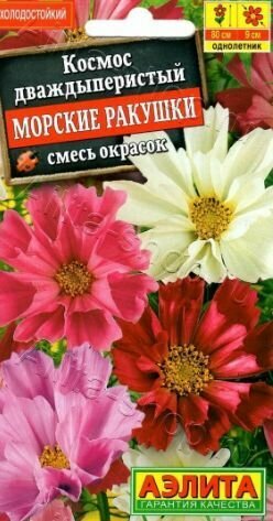 Космея Морские ракушки ( 3 упаковки ) , смесь окрасок