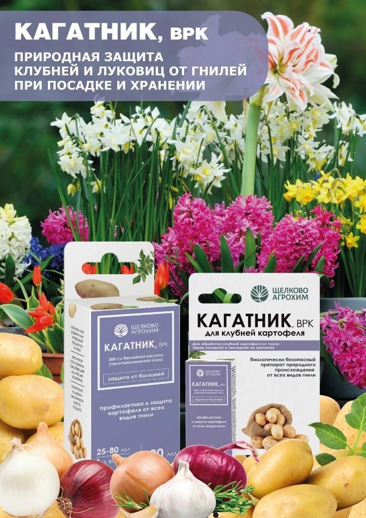 "Кагатник" Щелково Агрохим от болезней клубней картофеля, 80 мл х 2 шт