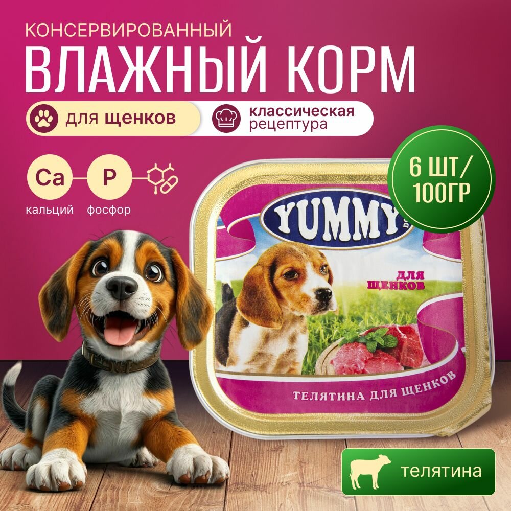 Yummy Влажный корм для щенков, с телятиной, 100 гр. * 6 шт.