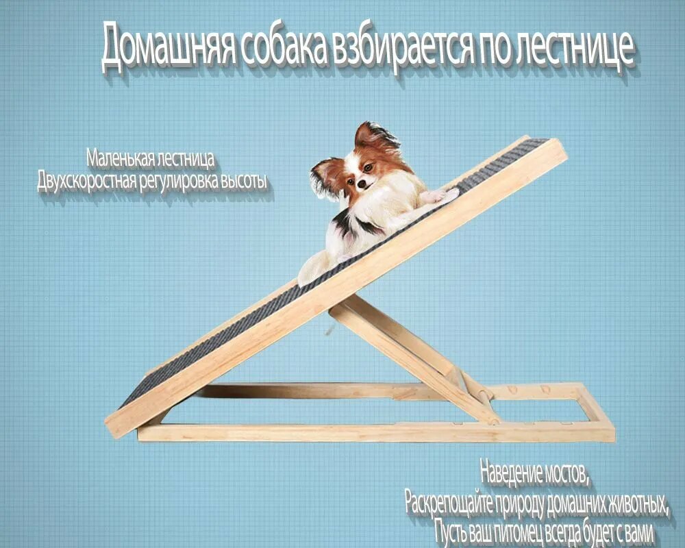 Лестница для собак прикроватная, пандус для собак, Переносная складная лестница для домашних животных с, с возможностью регулировки высоты,35*70*40cm