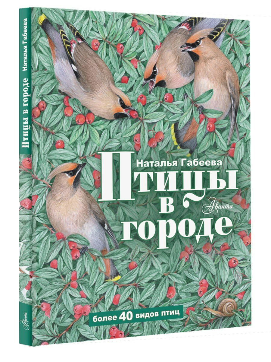 Птицы в городе — фото 1