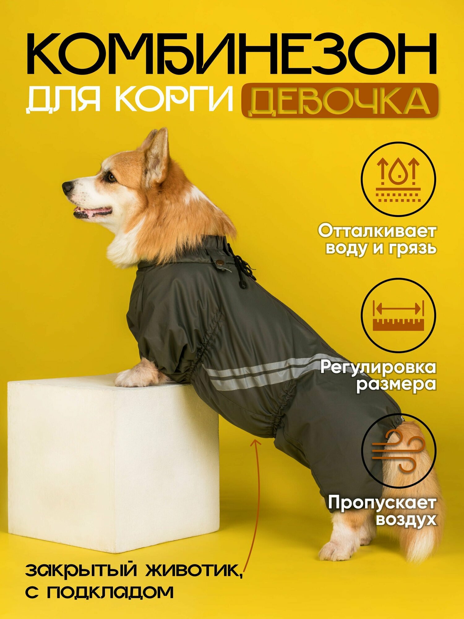 Грязезащитный комбинезон DiploDog для Корги (девочка), Одежда для Корги (девочка)