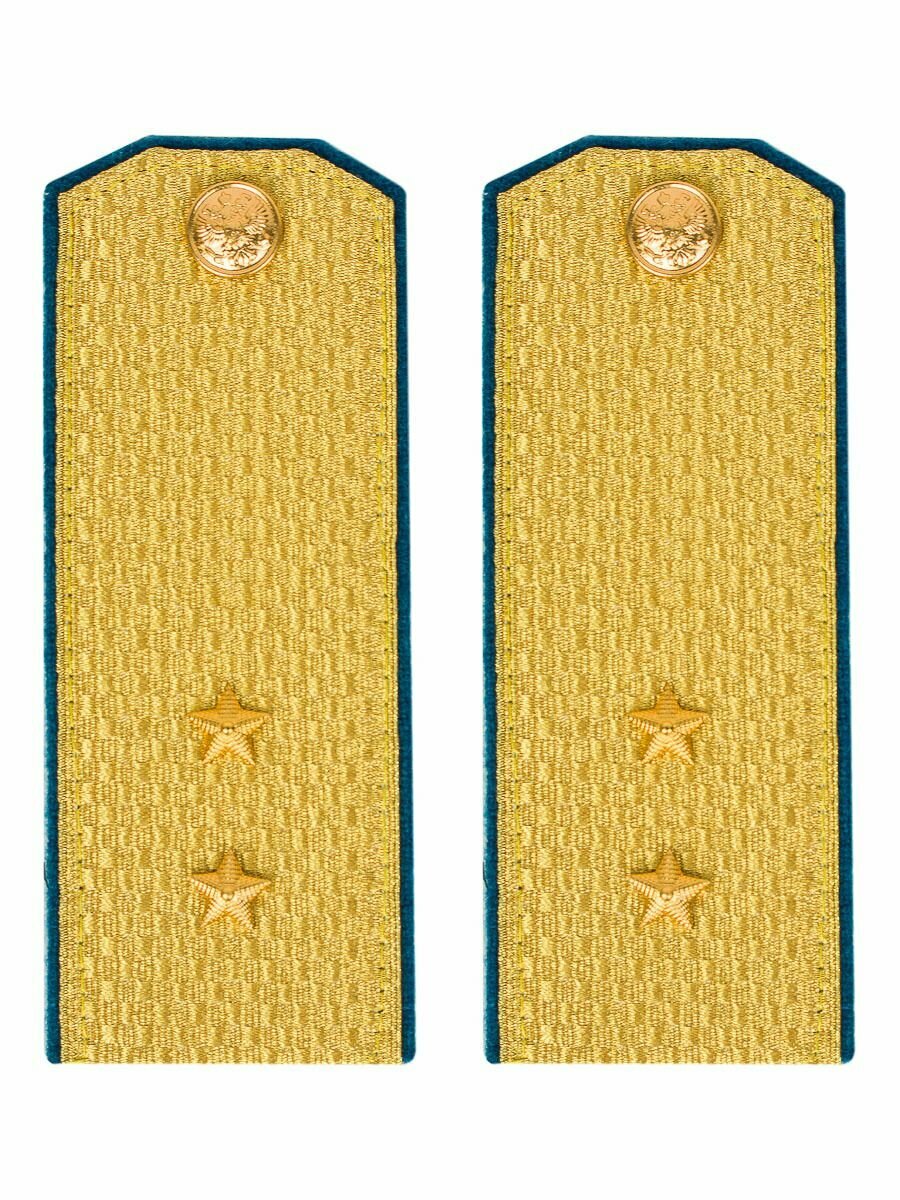Погоны ВДВ, ВКС, ВВС парадные золотые с фурнитурой звание Прапорщик