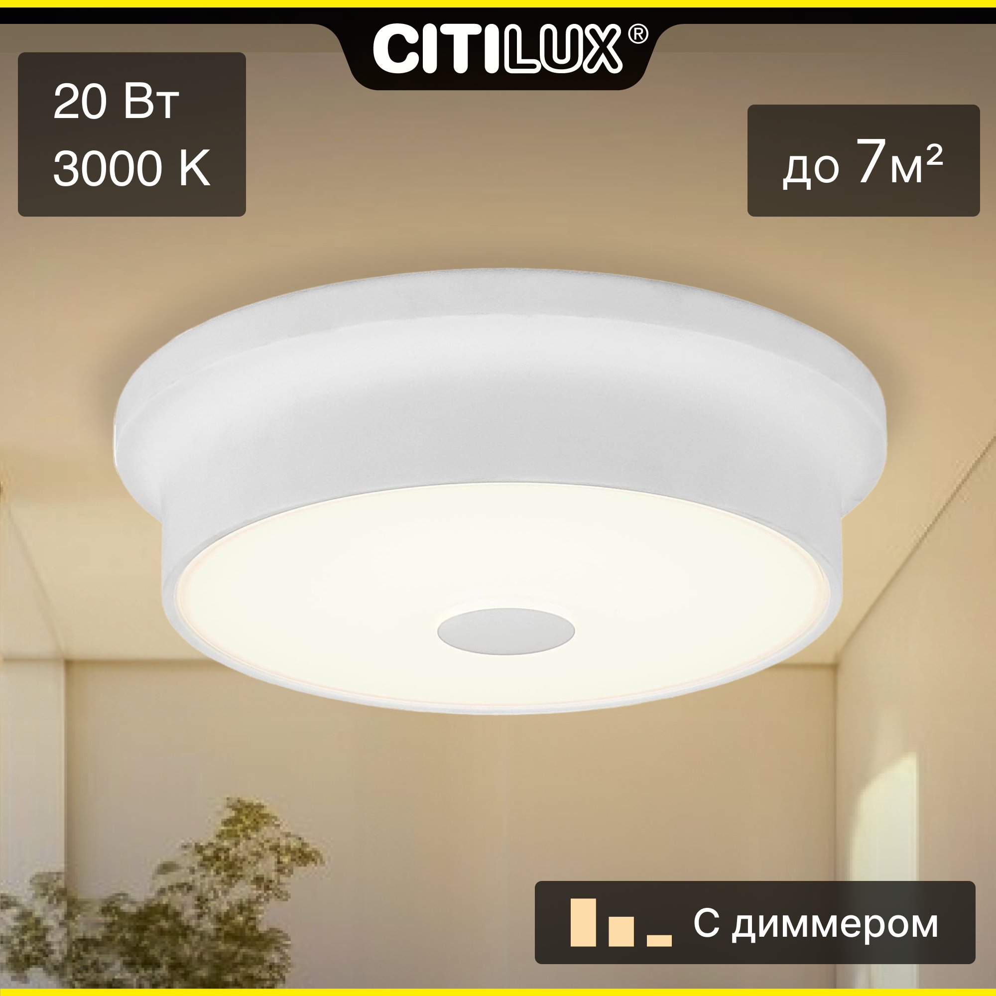 Светильник для дома накладной Citilux Фостер CL706220, цвет арматуры белый