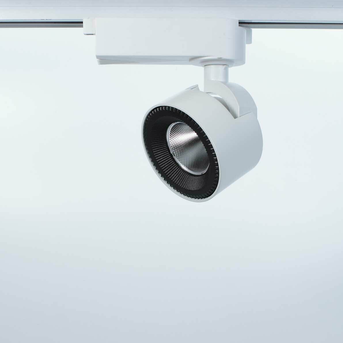 Светодиодный светильник трековый JH-GDD-Z80 2L PX71 (10W, 220V, White)