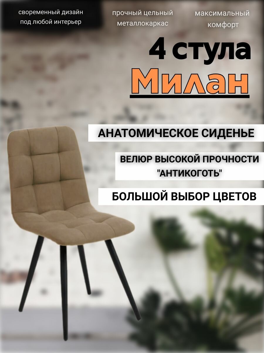 Стул