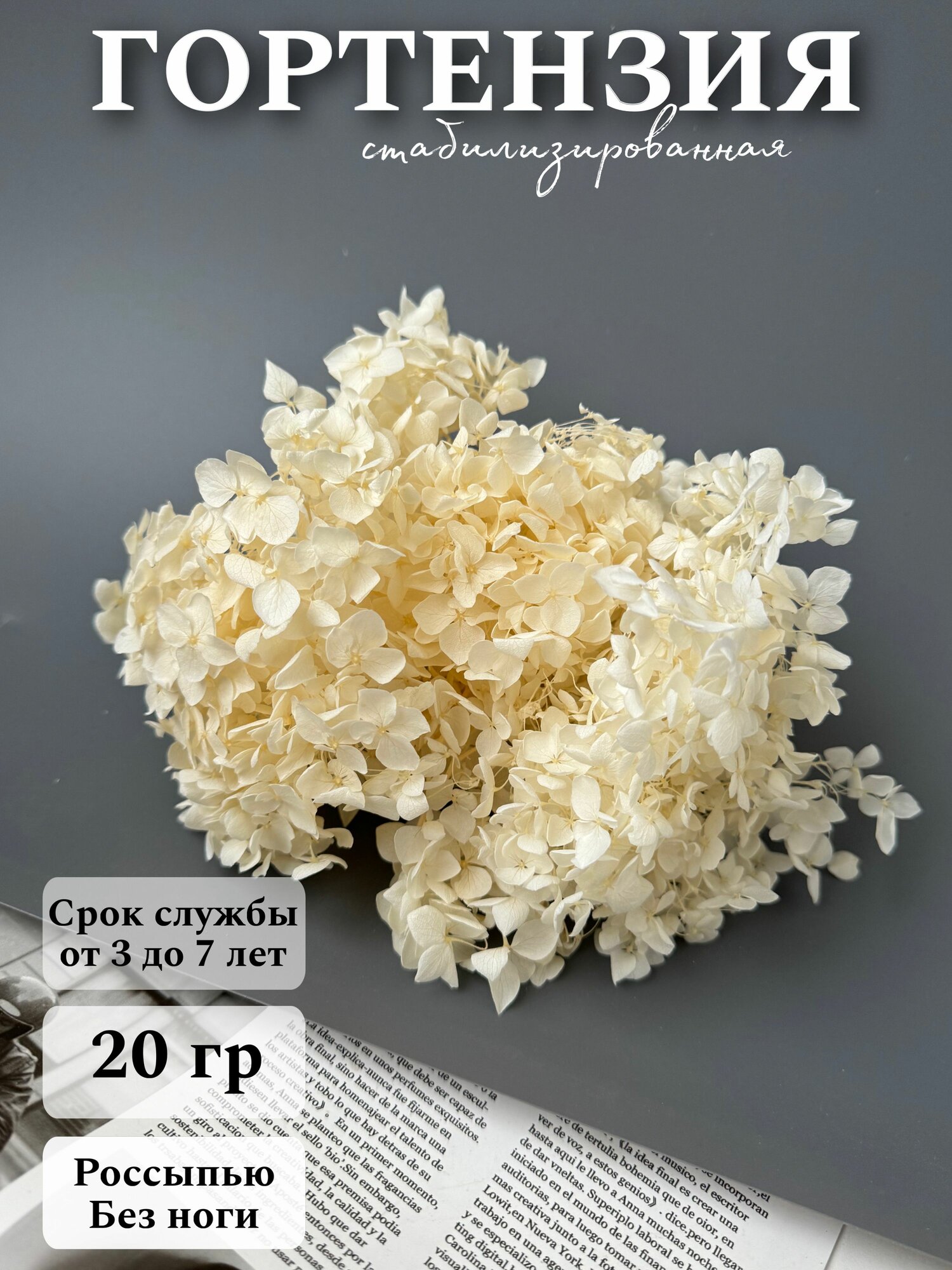 Сухоцветы для декора Гортензия стабилизированная 20г