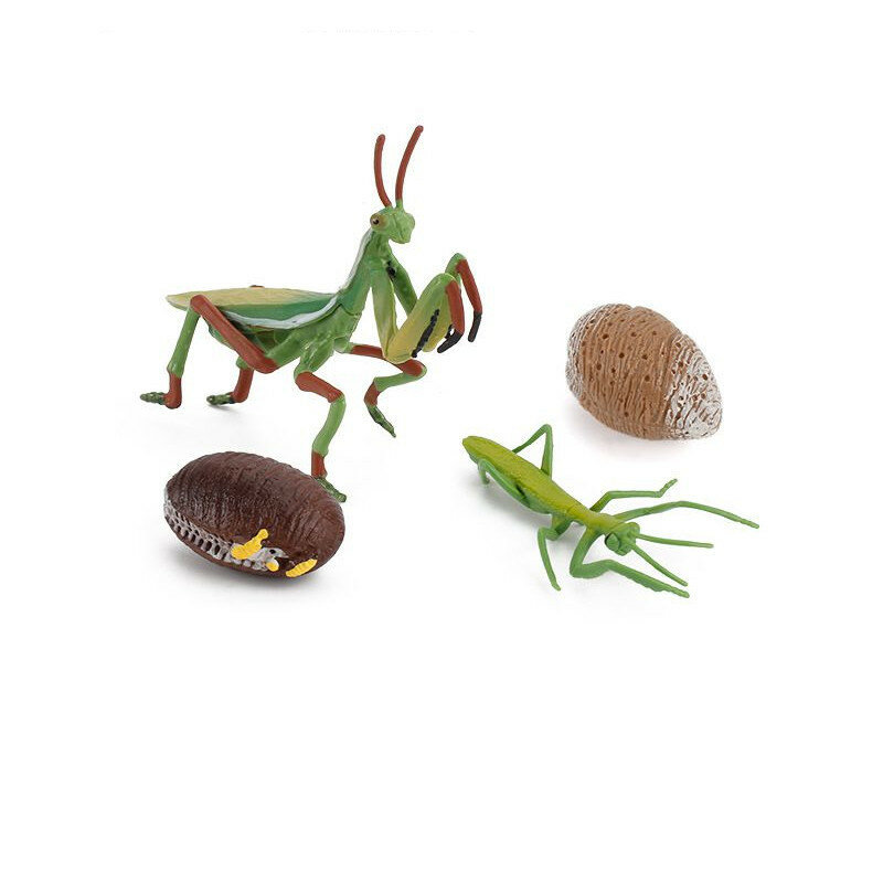 Модель цикла роста животных коллекция из pvc для детей образовательный класс показывать птиц черепах лягушек богомолов