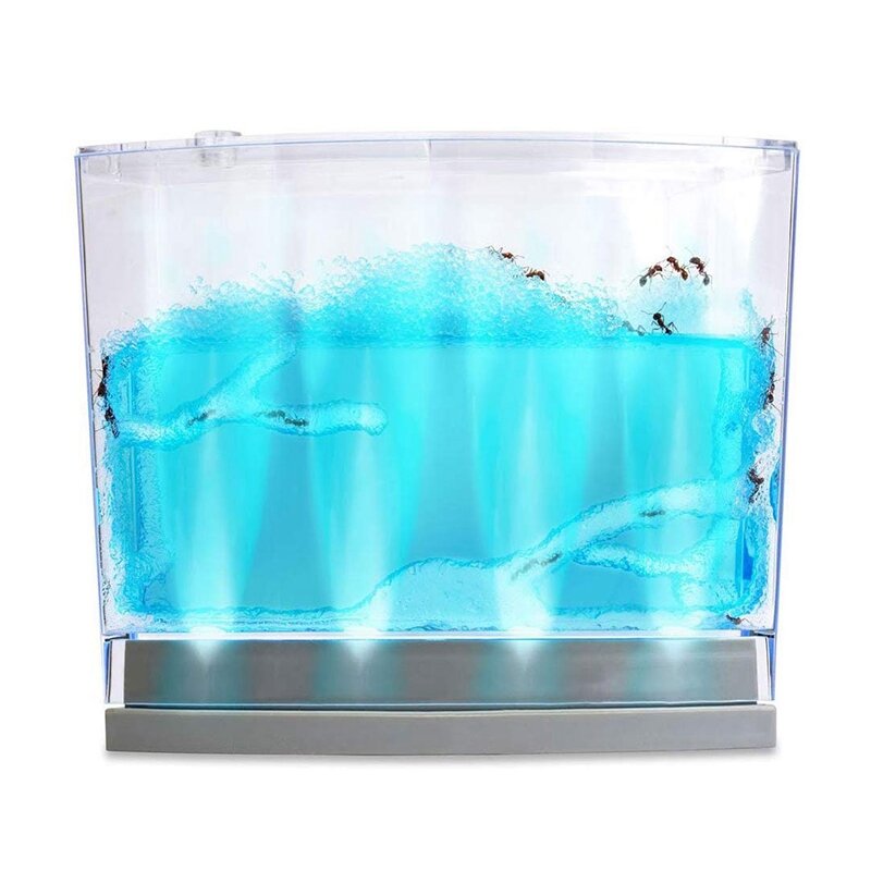 Синий муравейник для дома, набор светильников для муравьев, фоновое освещение для мастерской муравьев, мастерская муравьев с ночником