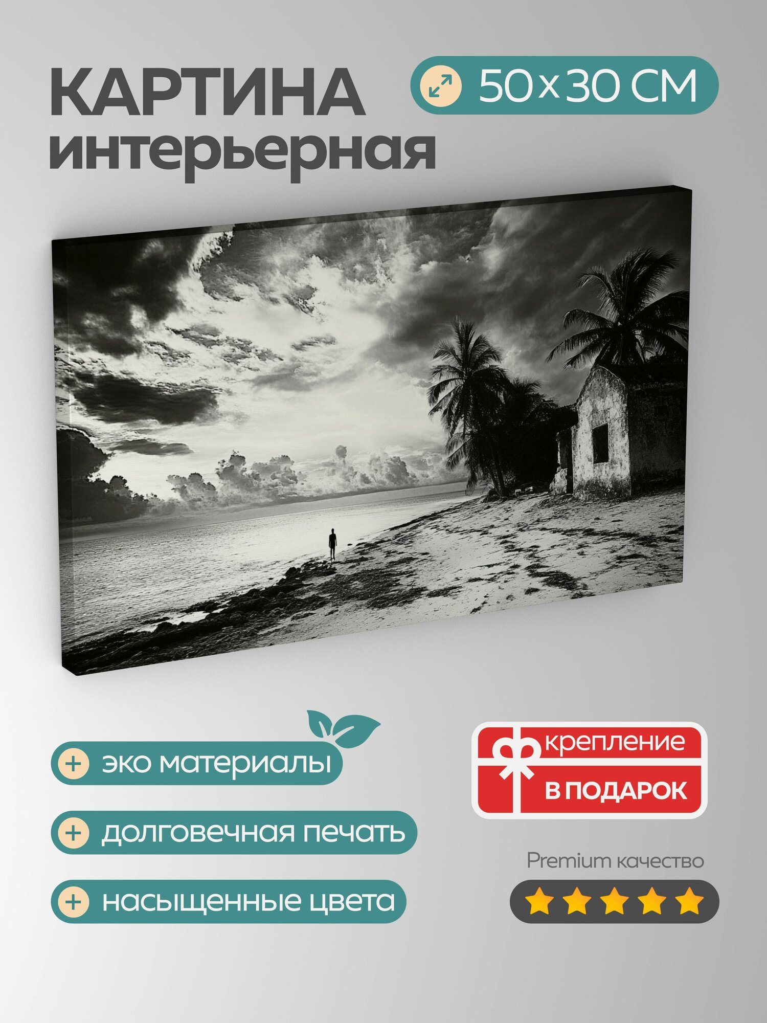 Картина на холсте интерьерная 50х30 см, пустынный пляж, одиночество, задумчивость, созерцание, черно-белая фотография