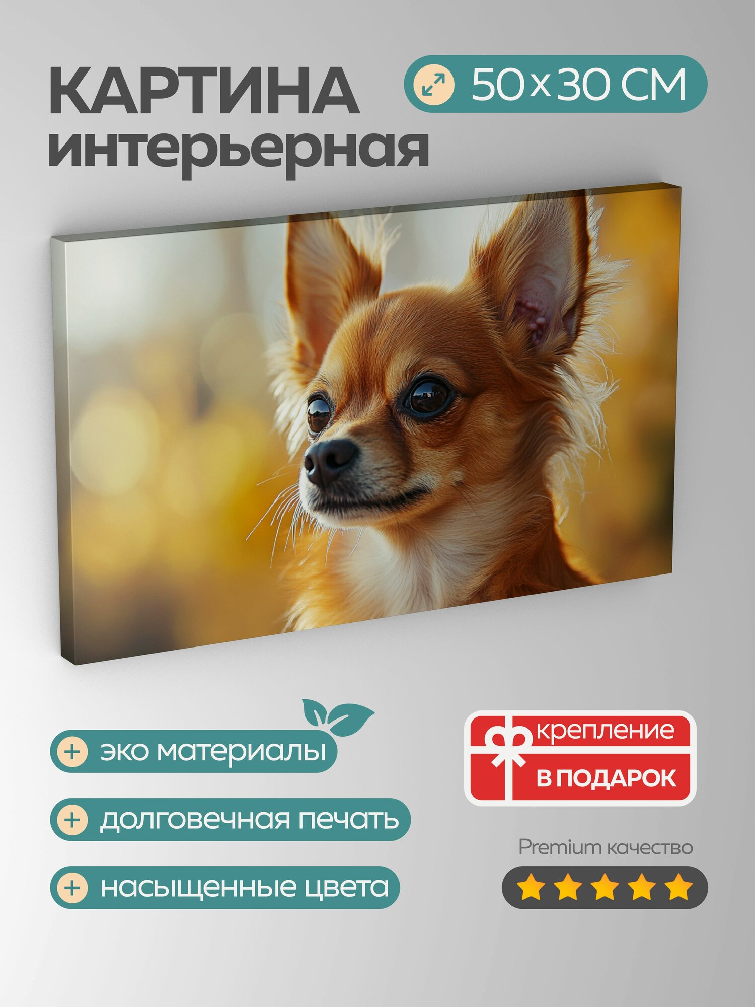 Картина на холсте интерьерная 50х30 см, чихуахуа, оранжевая шерсть, высокое разрешение, уникальные черты, внешний вид