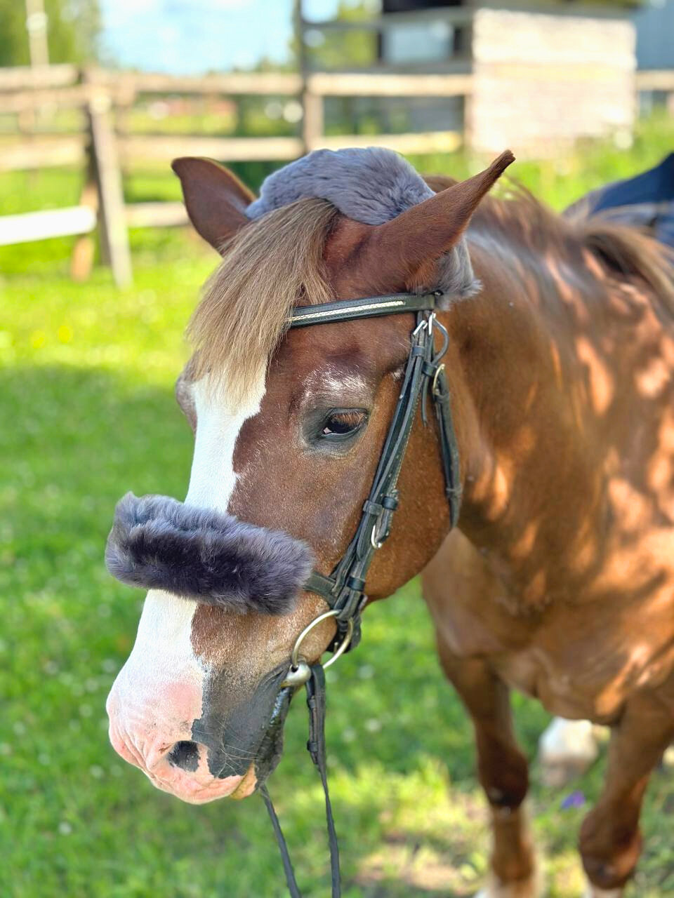 Меховушки на недоуздок Shkura-Dekor набор 2 шт (24 и 32 см) чулком графит