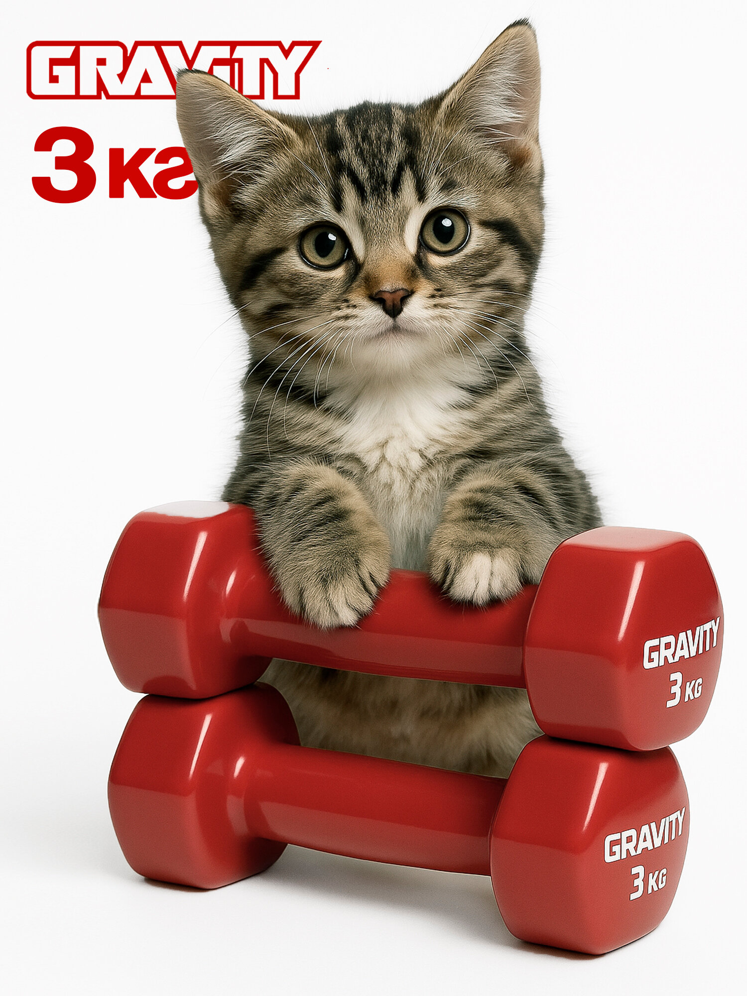 Гантели с виниловым покрытием Gravity, красные, 3 кг, пара, для дома, для зала