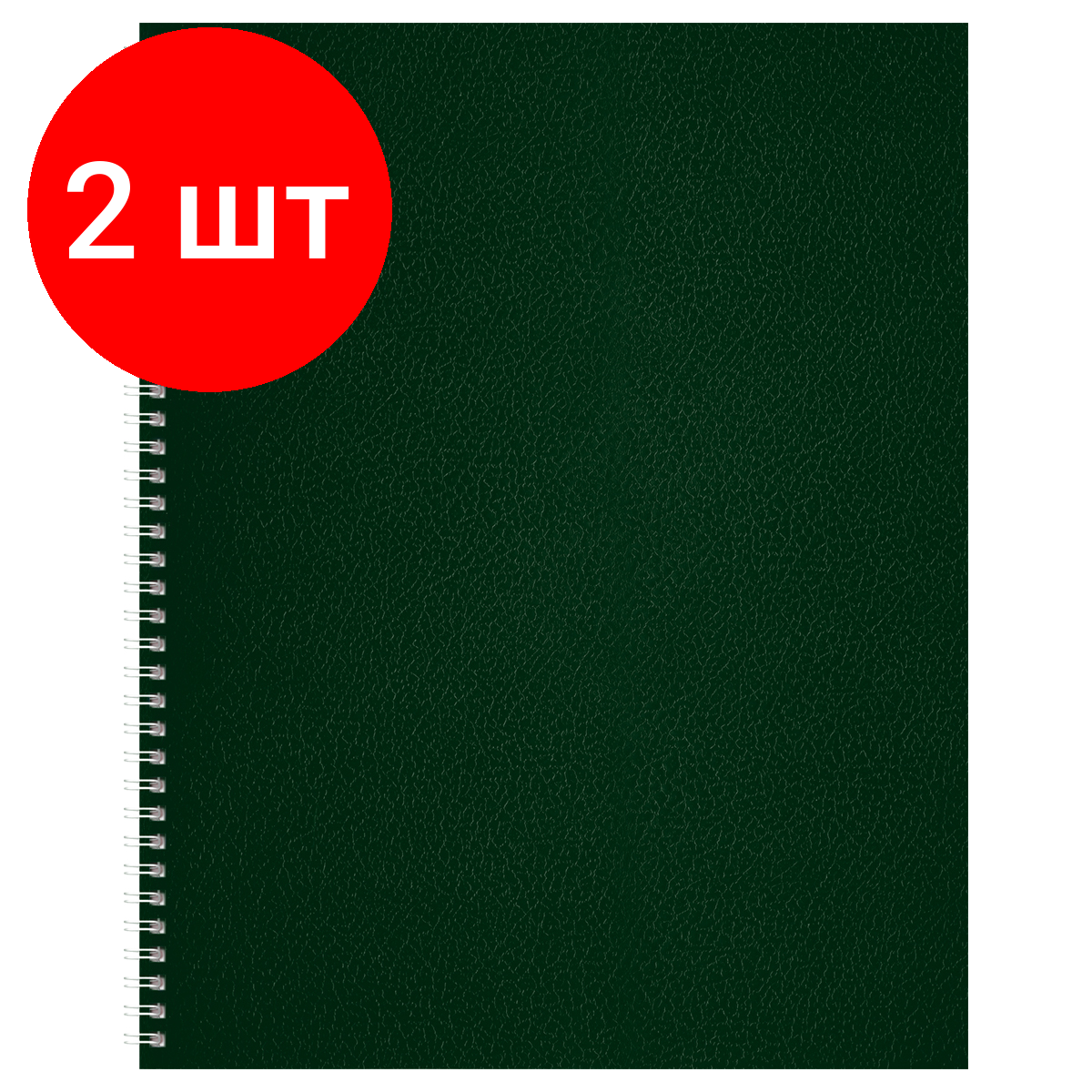 Комплект 2 шт, Тетрадь 96л, А4, клетка на гребне BG, бумвинил, зеленый