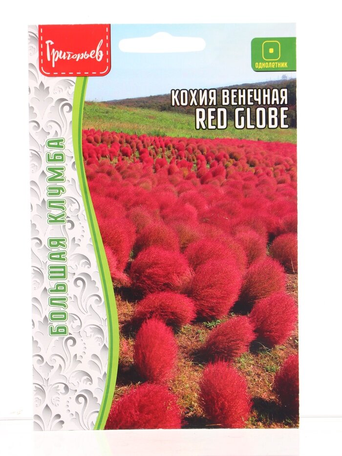 Семена цветов Кохия венечная Red Globe, 0.1 г «Григорьев»
