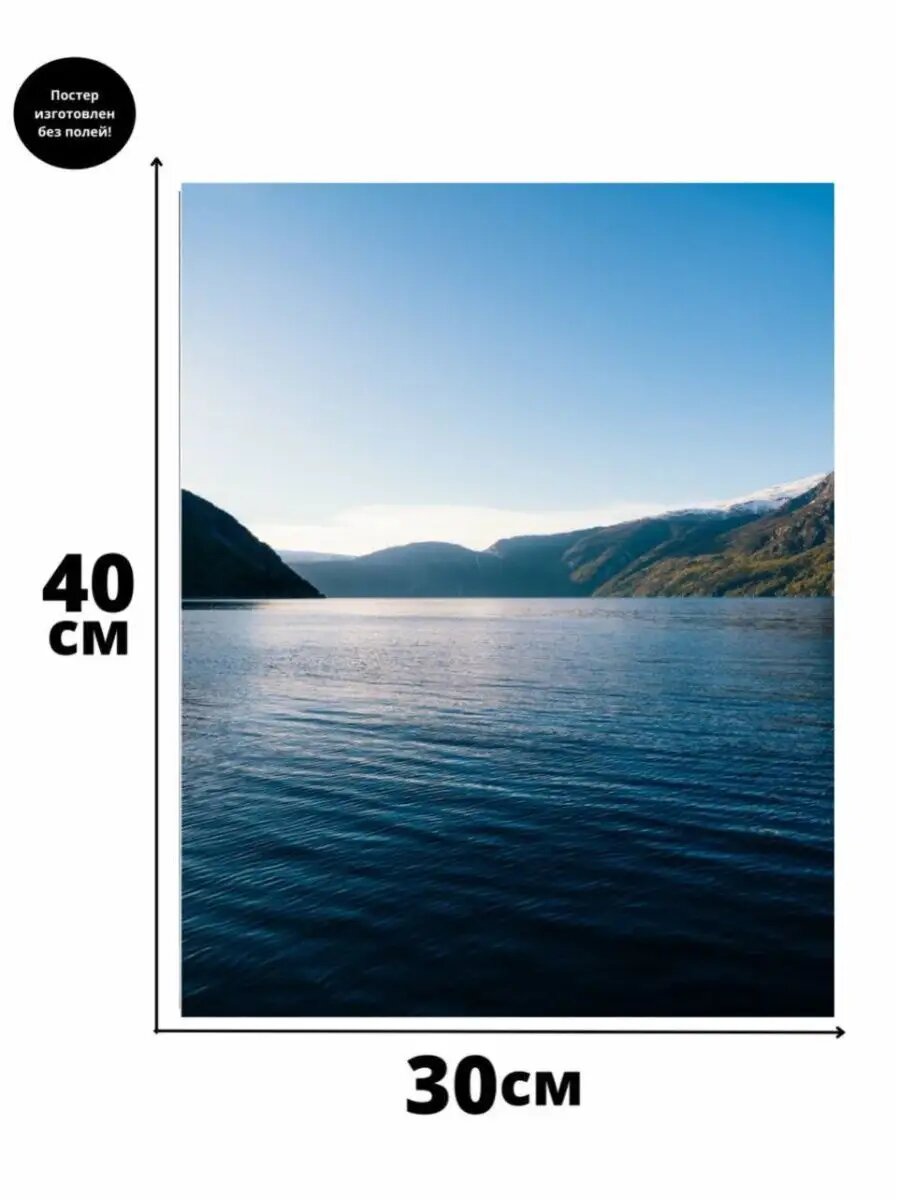 Постер Пляж лодка бриз дельфин море океан