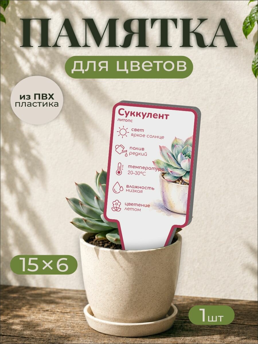 Фигурки для сада Суккулент