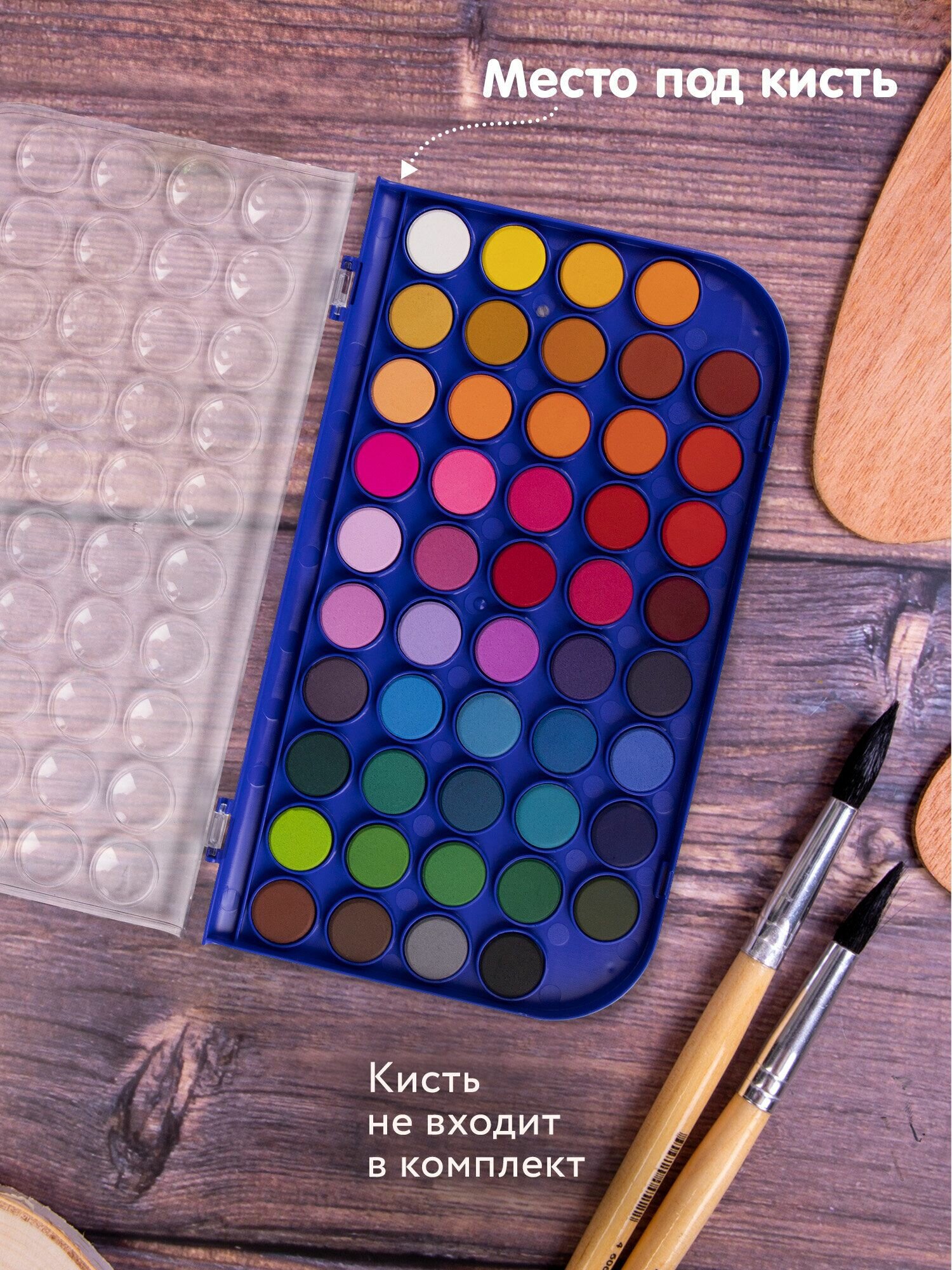 Краски акварельные для рисования, школьные Brauberg Premium 48 цветов, круглые кюветы 23 мм