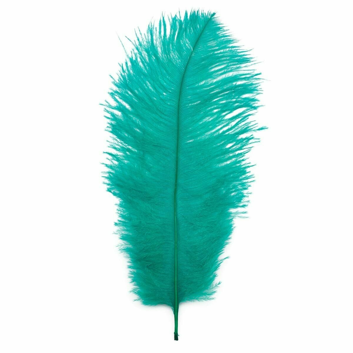 Декоративные перья айрис "Страус", обработанные, 20-25 см, цвет Изумрудный, AR149-1, 10 шт