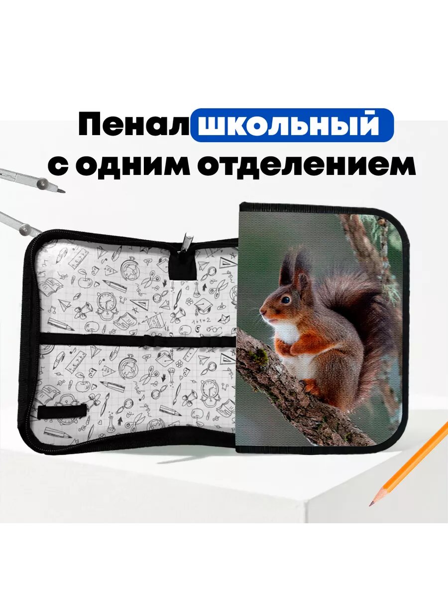 Школьный пенал Белка
