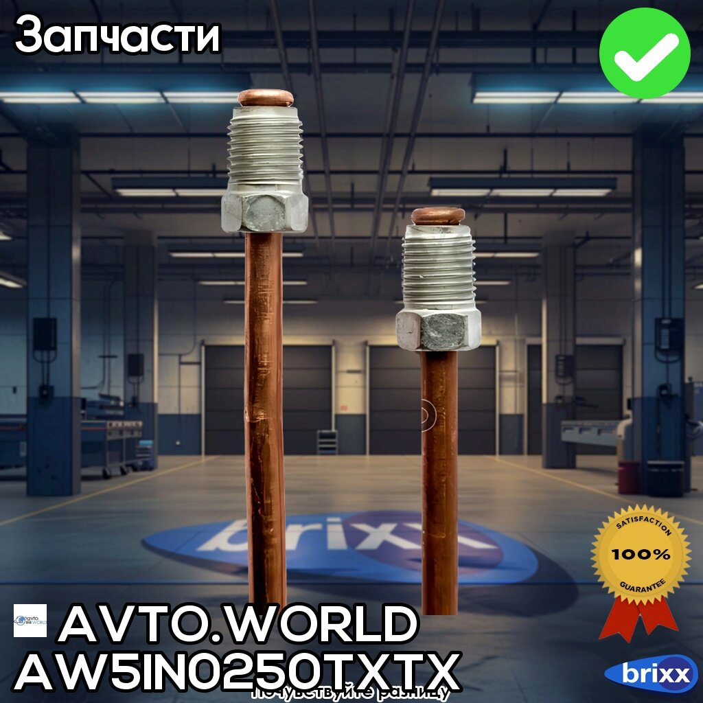 Трубка Тормозная D=5Мм, L=250Мм, М10x1.0 | Avto.world | AVTO.WORLD арт. AW5IN0250TXTX