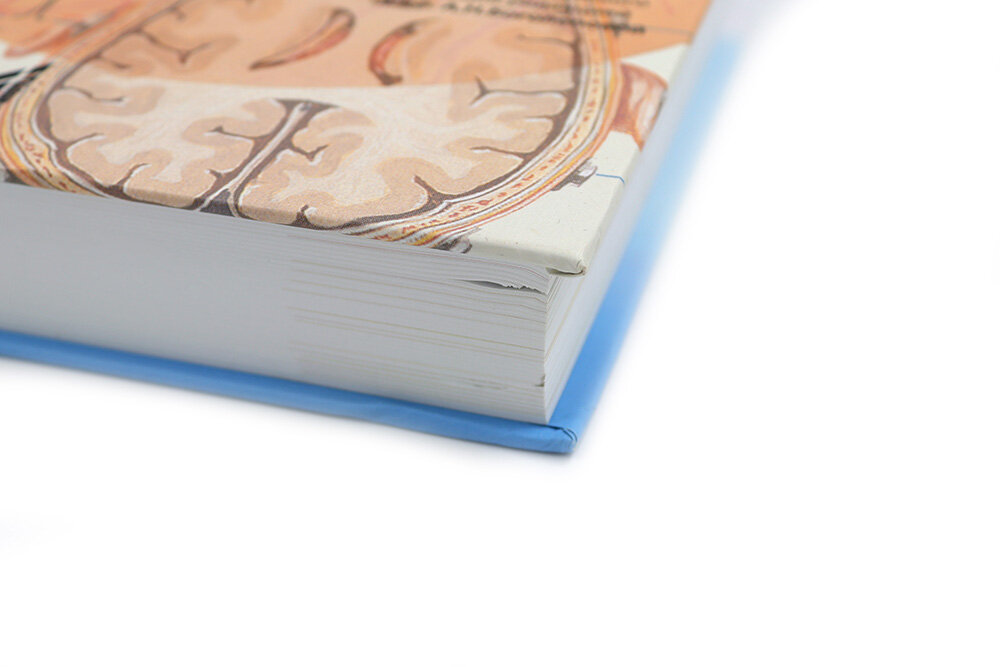 Уценка Справочник по неврологии Неттера. Мисулис К.Э., Хэд Т.К. МЕДпресс-информ