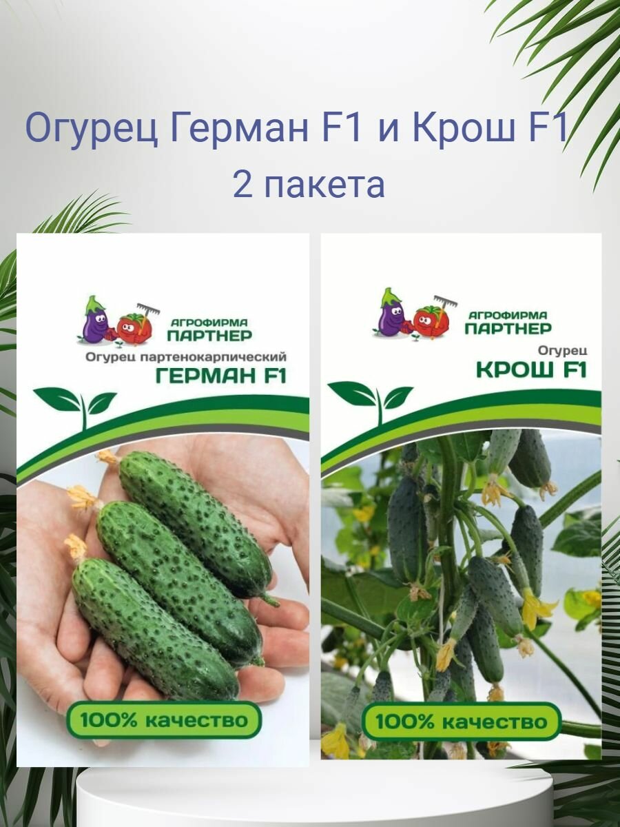 Огурец Герман F1 и Крош F1 2 пакета
