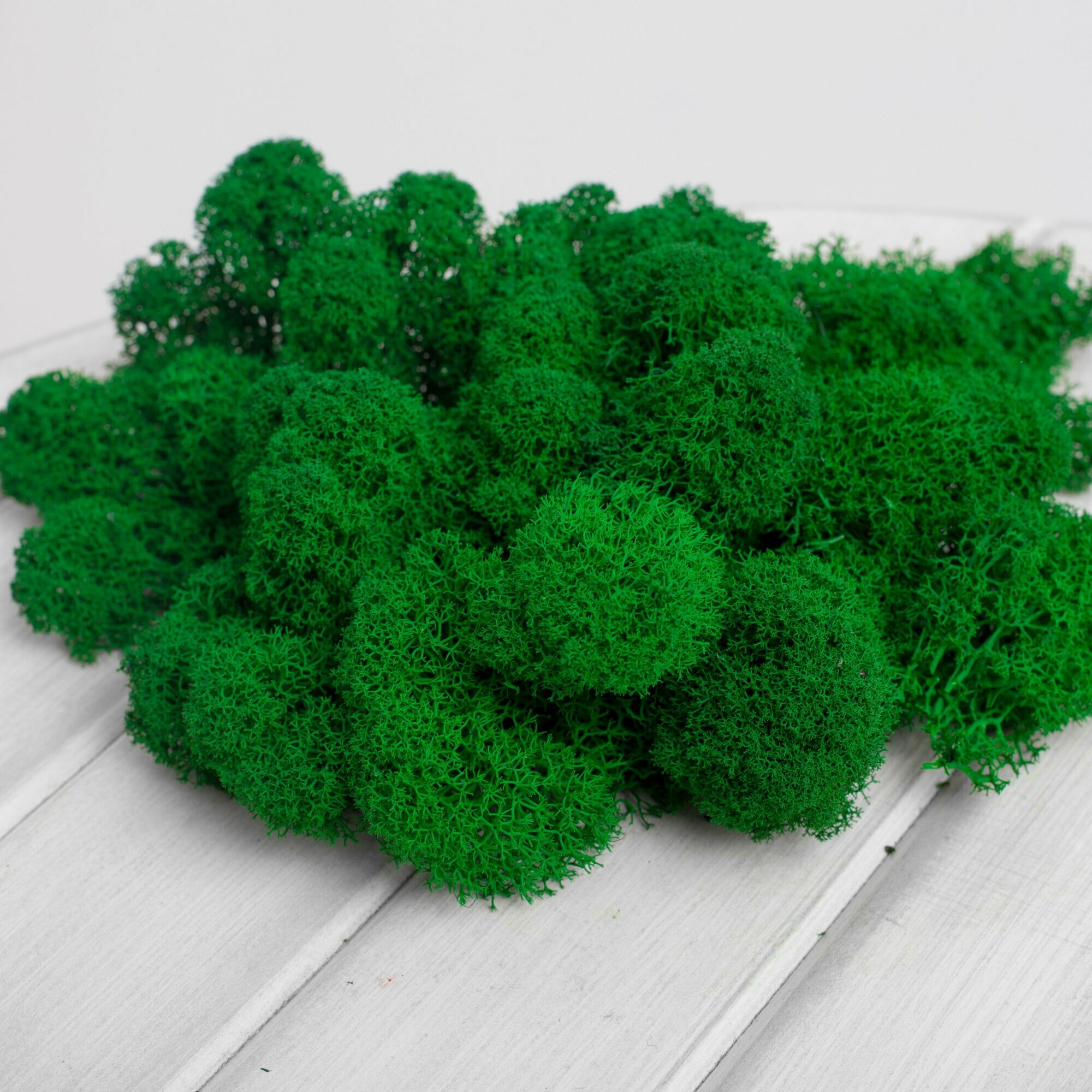 Стабилизированный Мох ягель, 100% натуральный, зеленый, 50x40 см, 1 кг