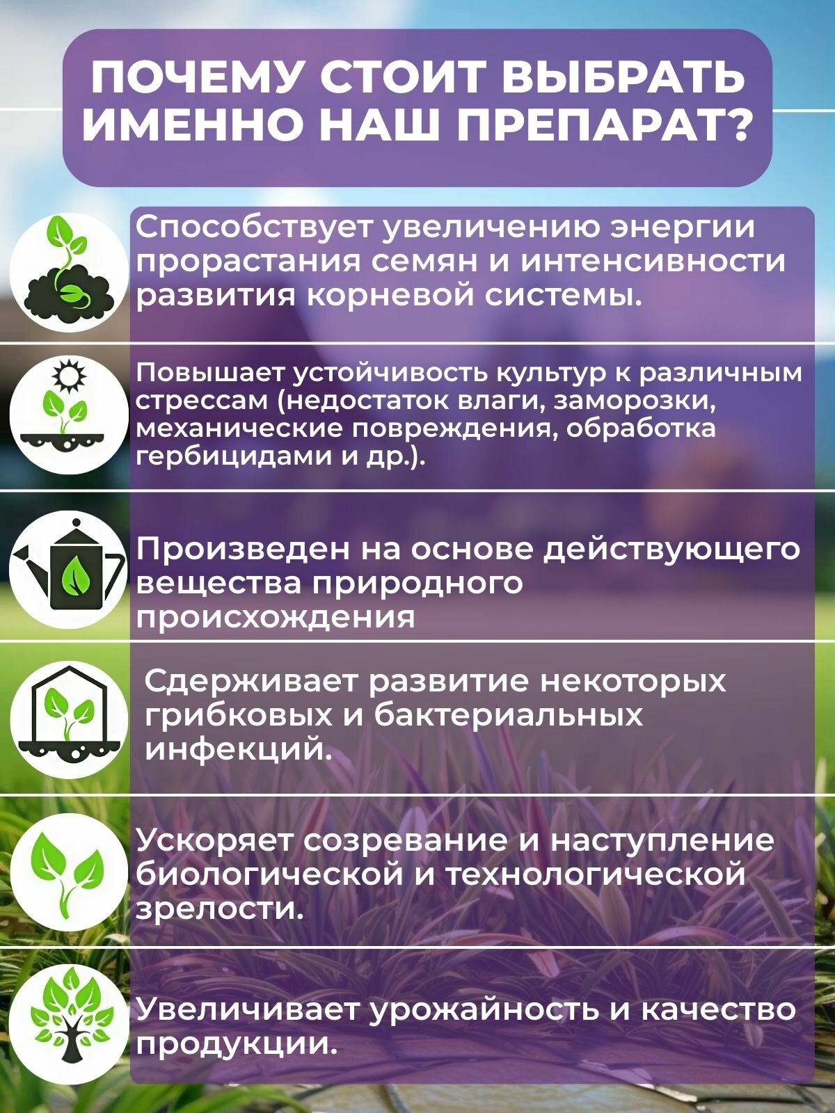 Биостимулятор агрусхим Агростимул, для овощей и плодово-ягодных, 10 мл — фото 1