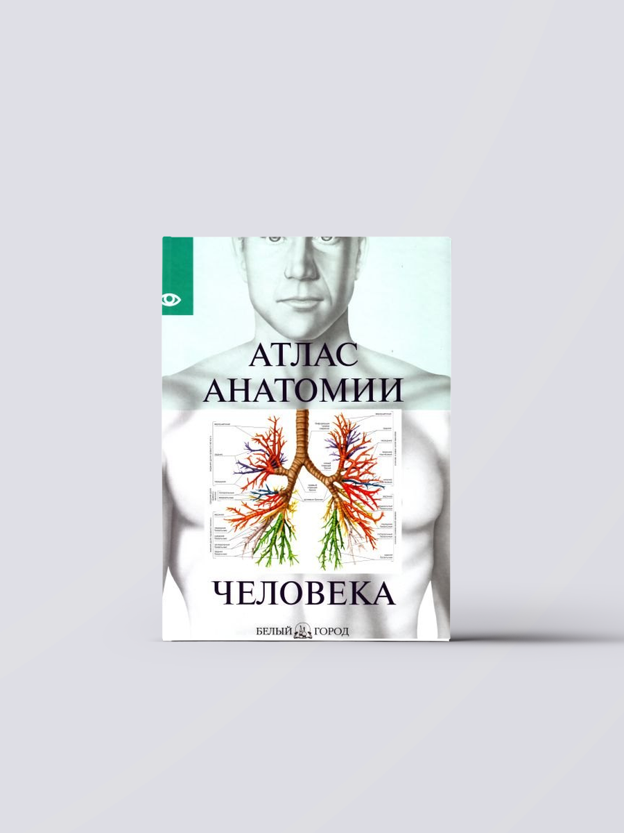 Атлас анатомии человека | Книга