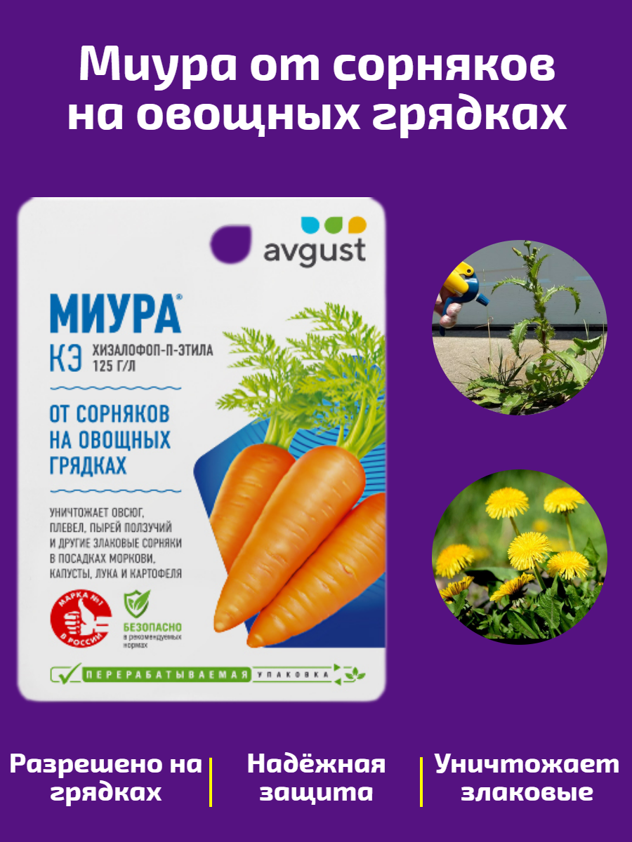 «Миура» — современный препарат для борьбы с сорняками на овощных культурах.