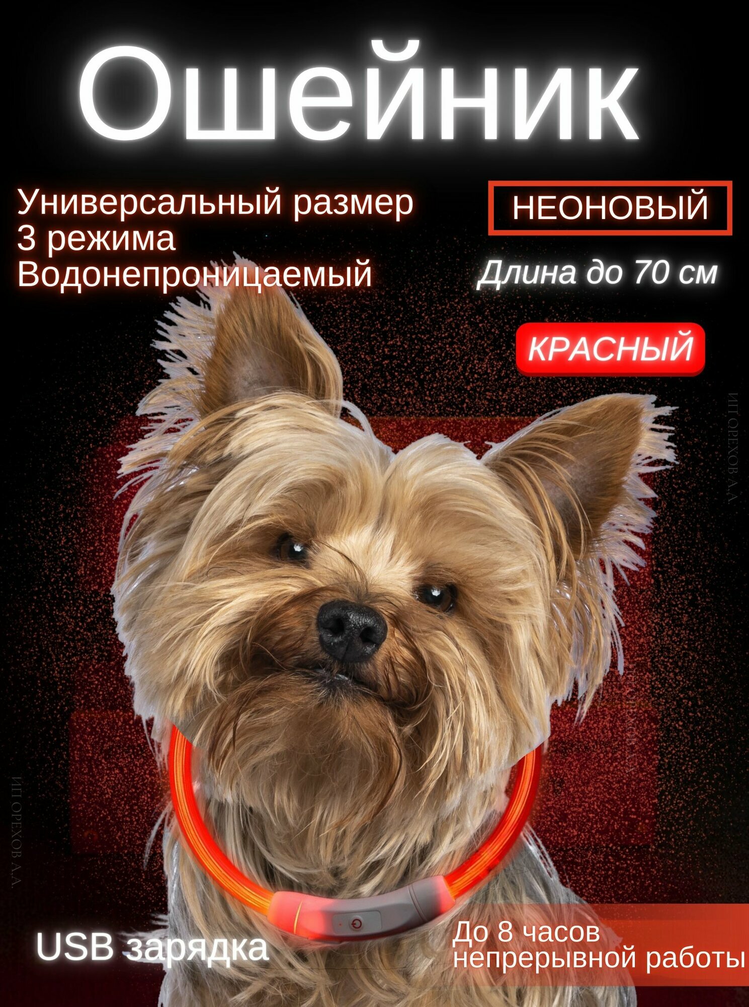 Светящийся ошейник для собак, регулируемый размер, Красный